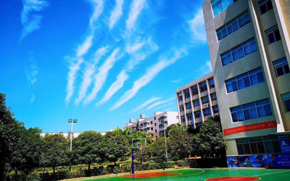 ...办学理念,推行“专业技能+学历提升+职业素养”的特色人才培养模式...