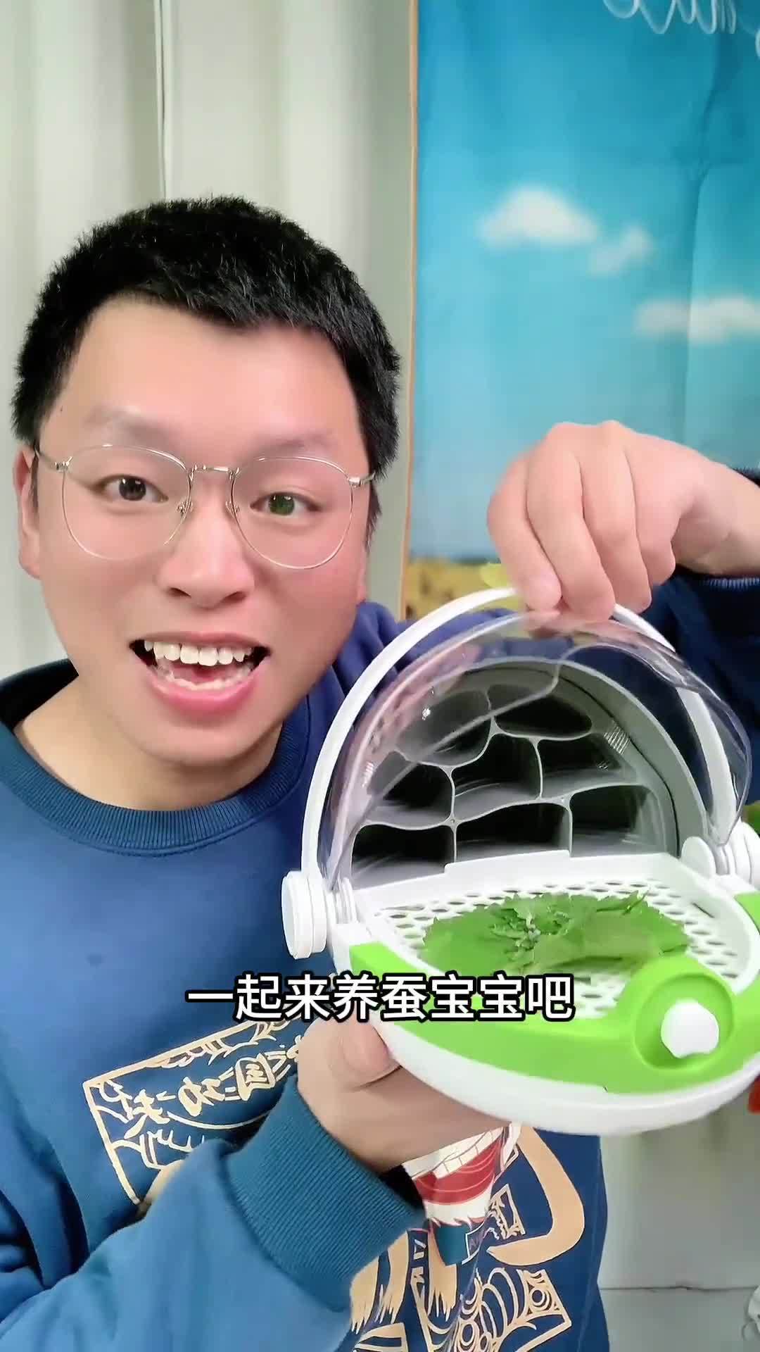 一起养蚕宝宝,观察生长变化,探索自然,热爱生活,满足好奇心