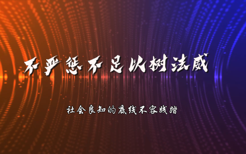 两高关于办理寻衅滋事刑事案件适用法律若干问题的解释