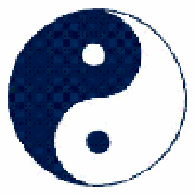 蒲公英飘舞 