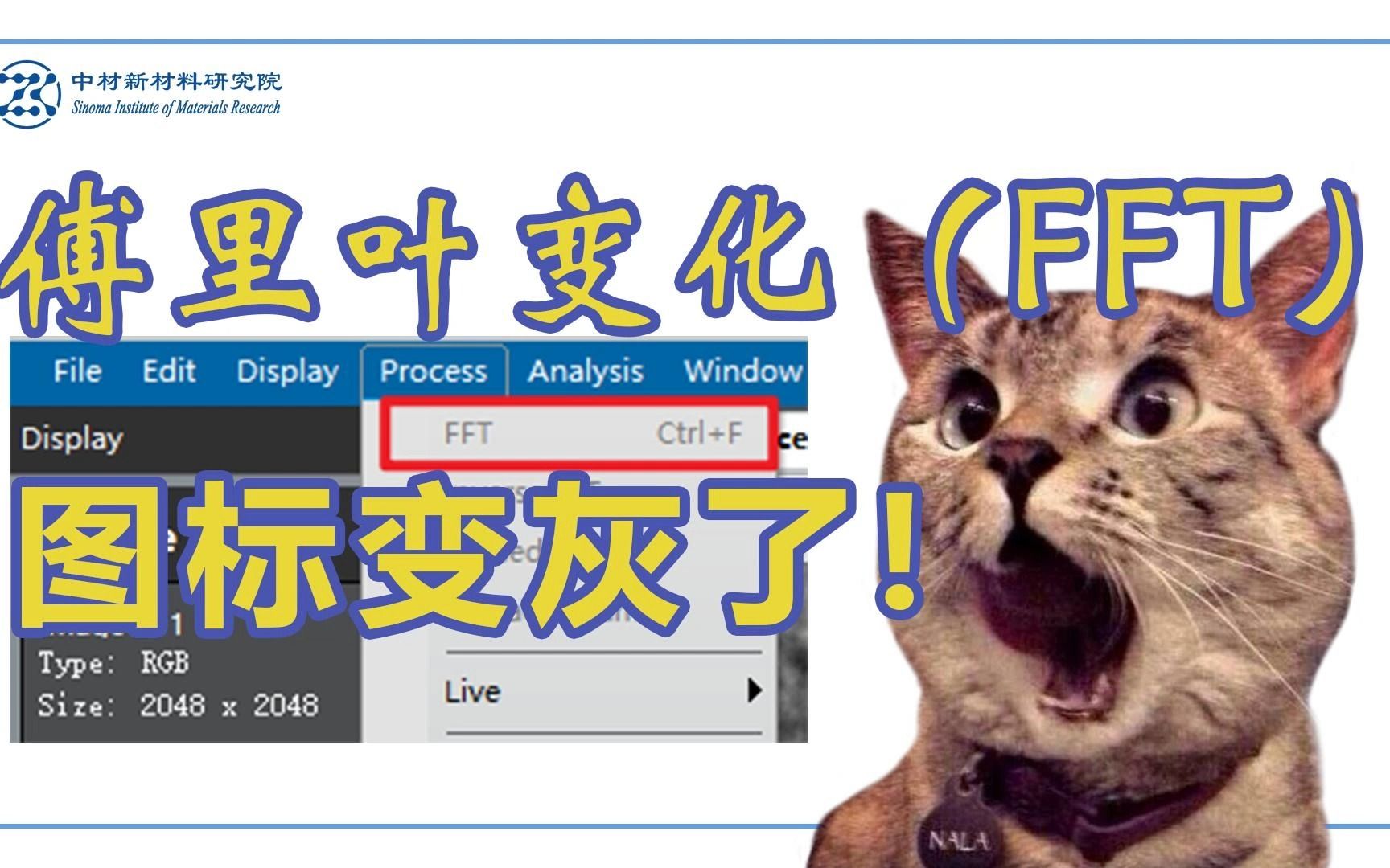 DM的傅里叶变换(FFT)罢工了?!别着急,可以这样解决——TEM测试