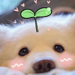 臻尧的小风筝库 