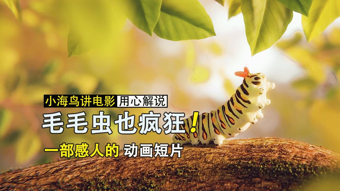 这是我看过的最感人的动画短片