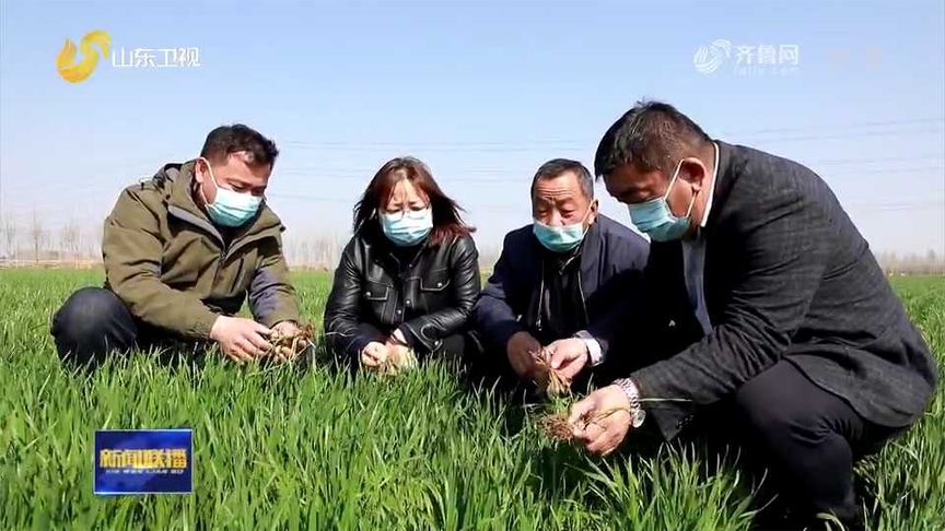 奋进新征程建功新时代山东农业生产全程托管实现粮食增产农民增收