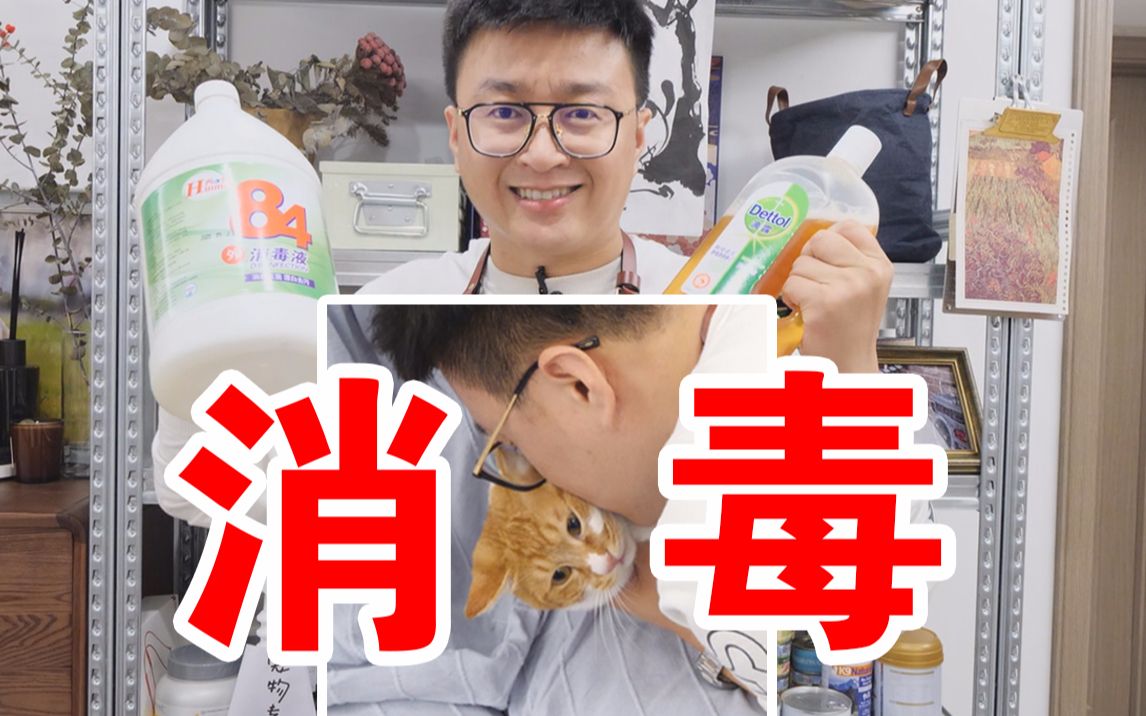 养猫消毒?疫情来袭,消毒超实用办法!