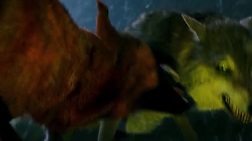 还是牧羊犬厉害,一嘴就能把狼咬死