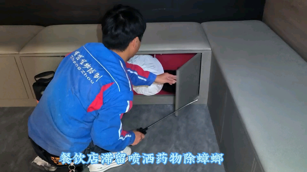 郑州餐饮灭蟑螂服务,专业上门灭鼠,郑州除蟑螂灭鼠杀虫公司,灭蚂蚁除...