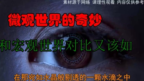 微观与宏观的神奇较量,谁更让人惊叹?