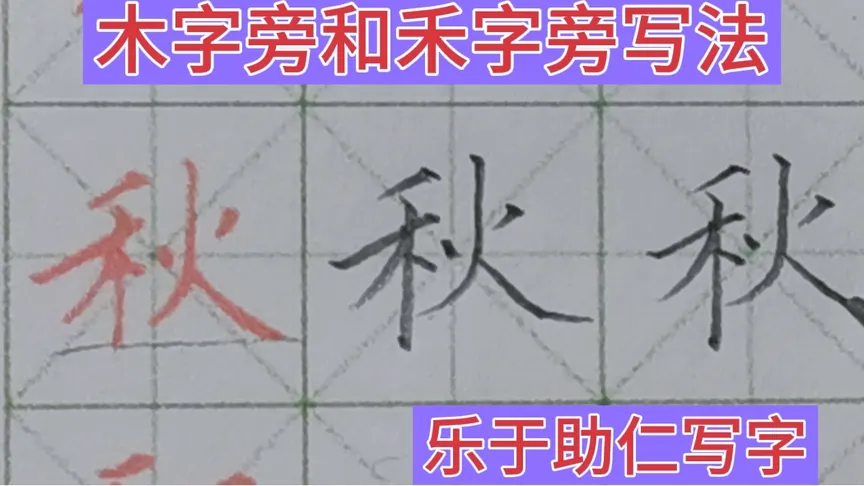 使用频率特别高的“木字旁和禾字旁”,书写时注意四个要点!