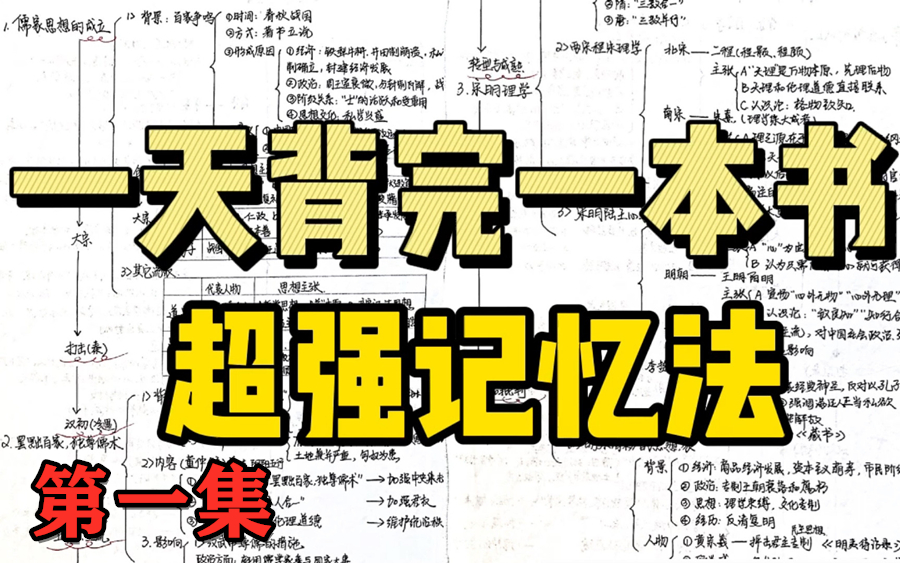 吐血分享!目前B站最完整的记忆力教程,堪比卢菲菲【记忆力】超脑力...