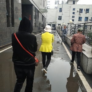陈女士的前途一片光明 