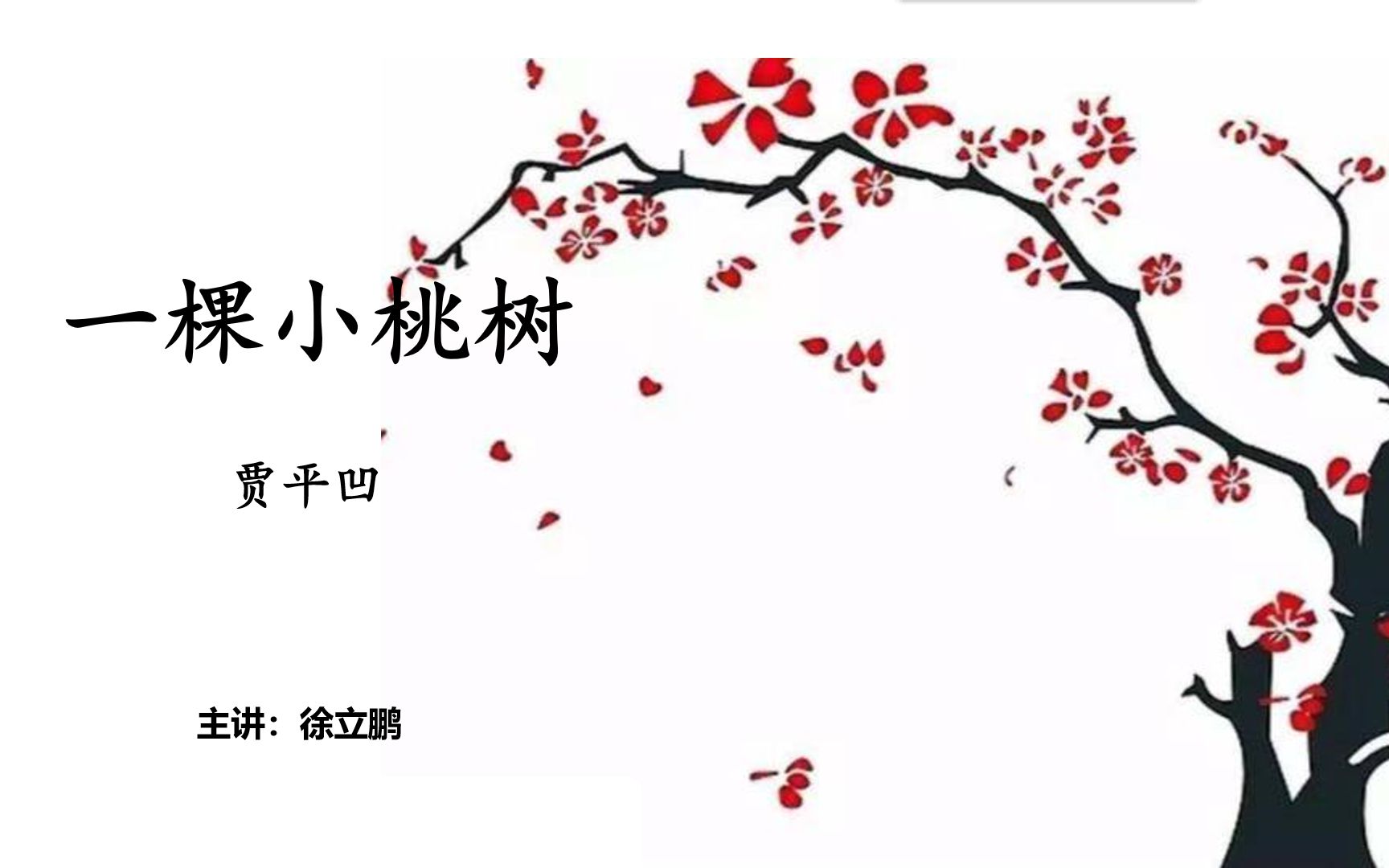 大头徐老师の实习录课:一棵小桃树