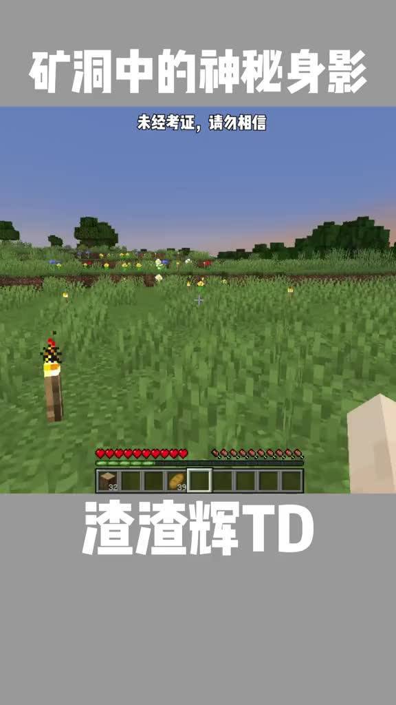 MC都市传说:矿洞中的诡异身影!