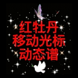 牲丹艺缘 