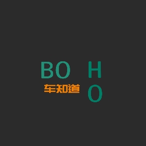 BOHO车知道 