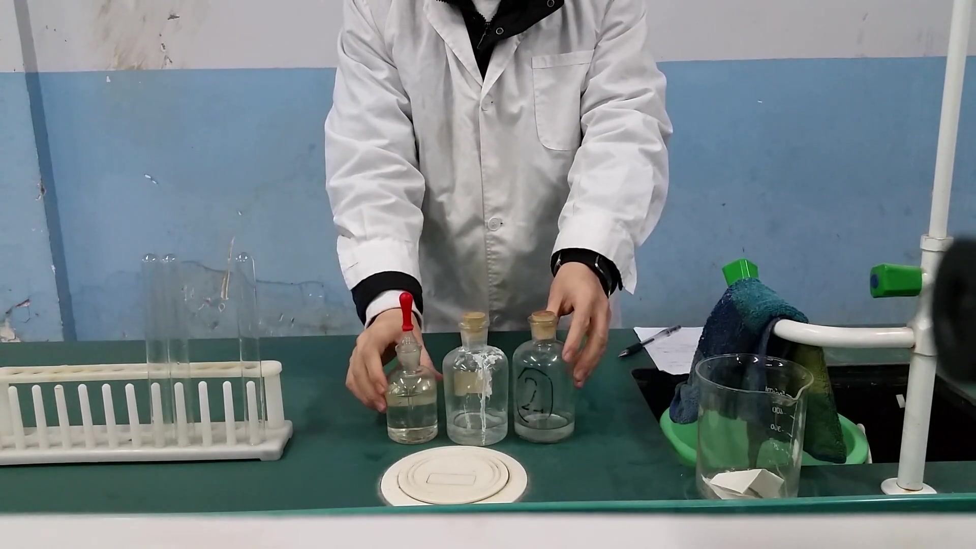 【初中化学实验】实验鉴别氢氧化钠溶液和碳酸钠溶液