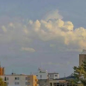 梧桐GIS 