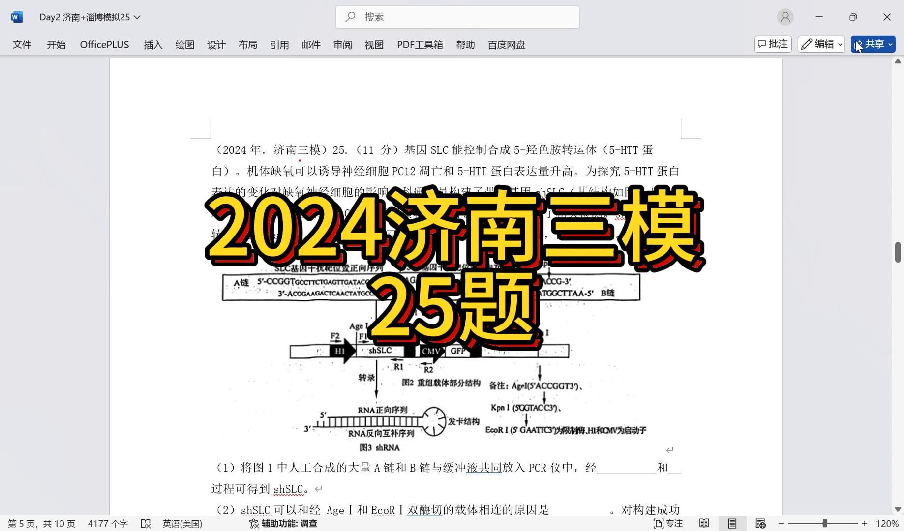 2024济南三模生物25题/发夹结构/沉默基因