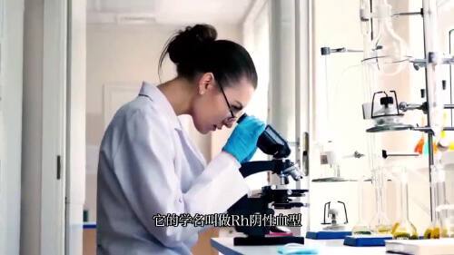 熊猫血型真的存在吗?揭秘比熊猫还稀有的神秘血型!