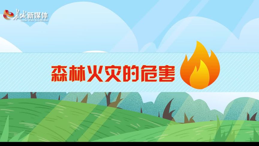 为什么要防火?带你读懂森林火灾的危害