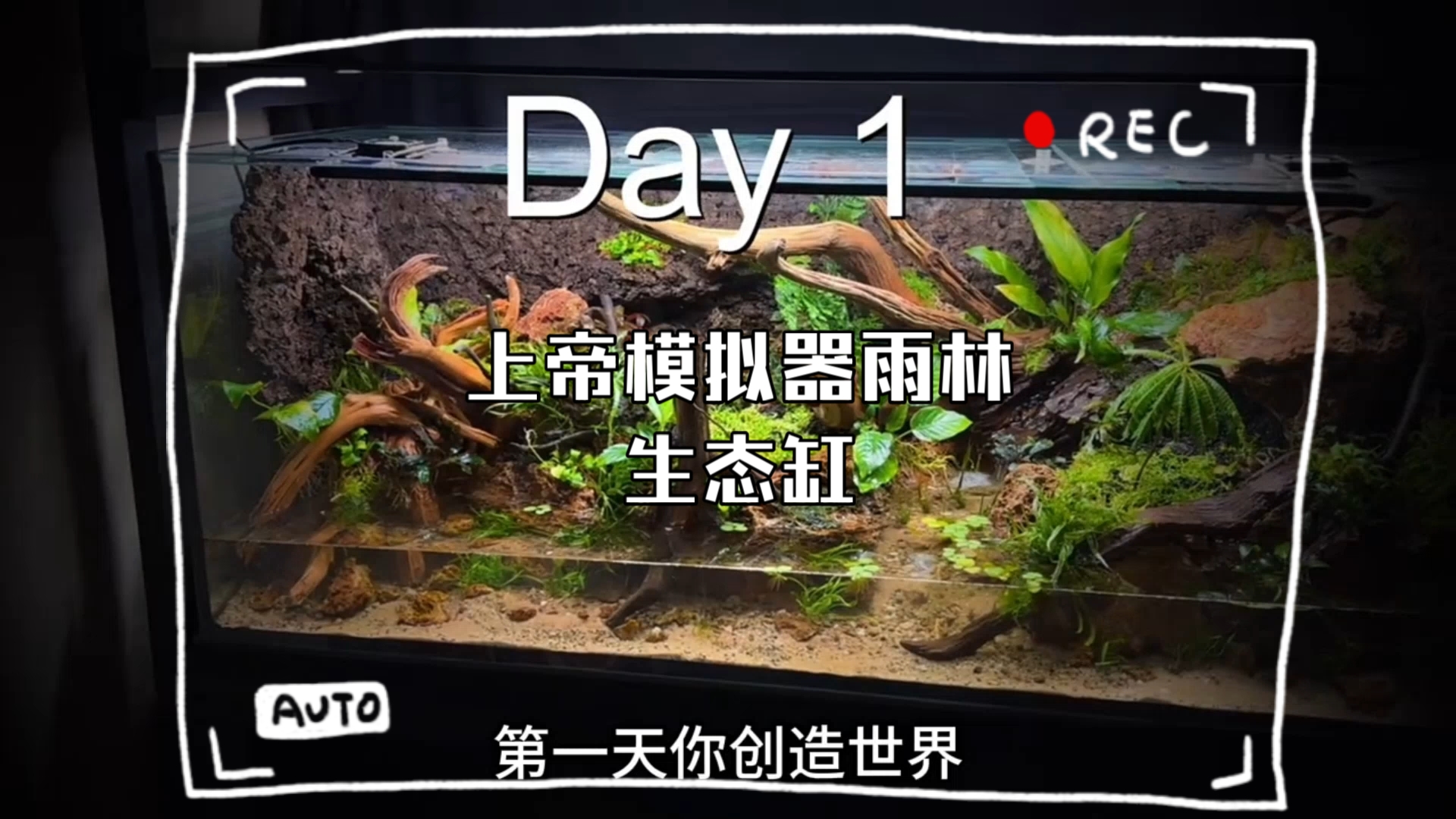 男人滑不走系列,上帝模拟器雨林生态缸