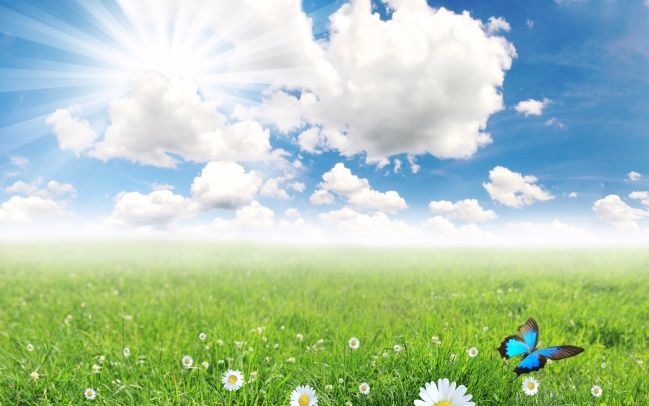 淘宝店铺怎样上架宝贝 如何上传宝贝到自己的网店去 淘宝店铺装修...