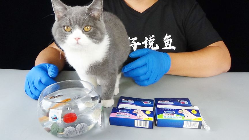 只需三分钟,学会检测鱼缸水质的小技巧,从此养鱼靠谱多了!