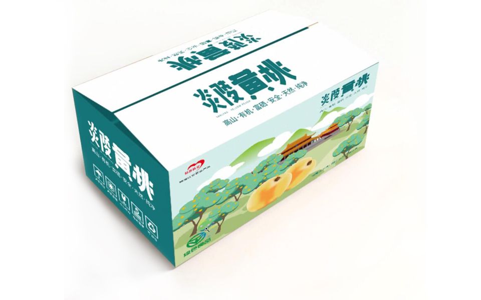 【全程干货分享】AI手绘包装设计教程,包装插画从构思到实战案例讲解...