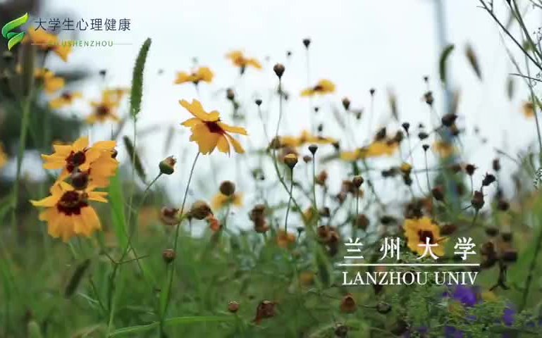 大学生心理健康教育