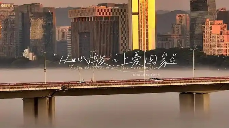 《从心出发 让爱回家》 2024滨江物业品牌宣传片