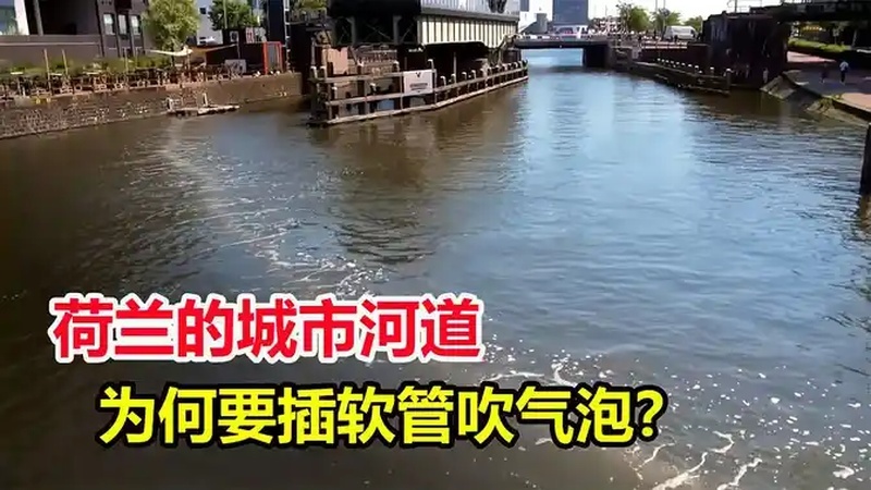 城市河道为何插软管软管作用竟是吹气泡背后真相大揭秘