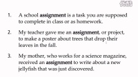 assignment 任务 作业 英语单词读音朗读讲解