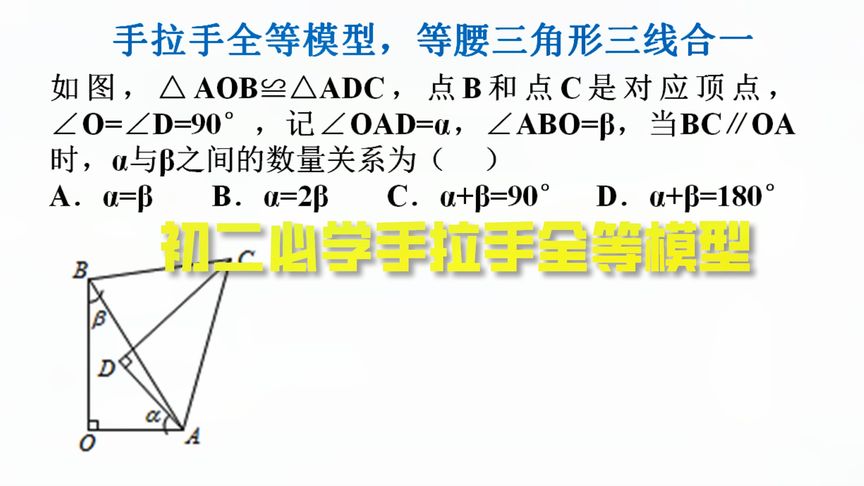 1、八年级上册数学,手拉手全等模型,等腰三角形三线合一