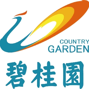 应城碧桂园云玺黎先生 