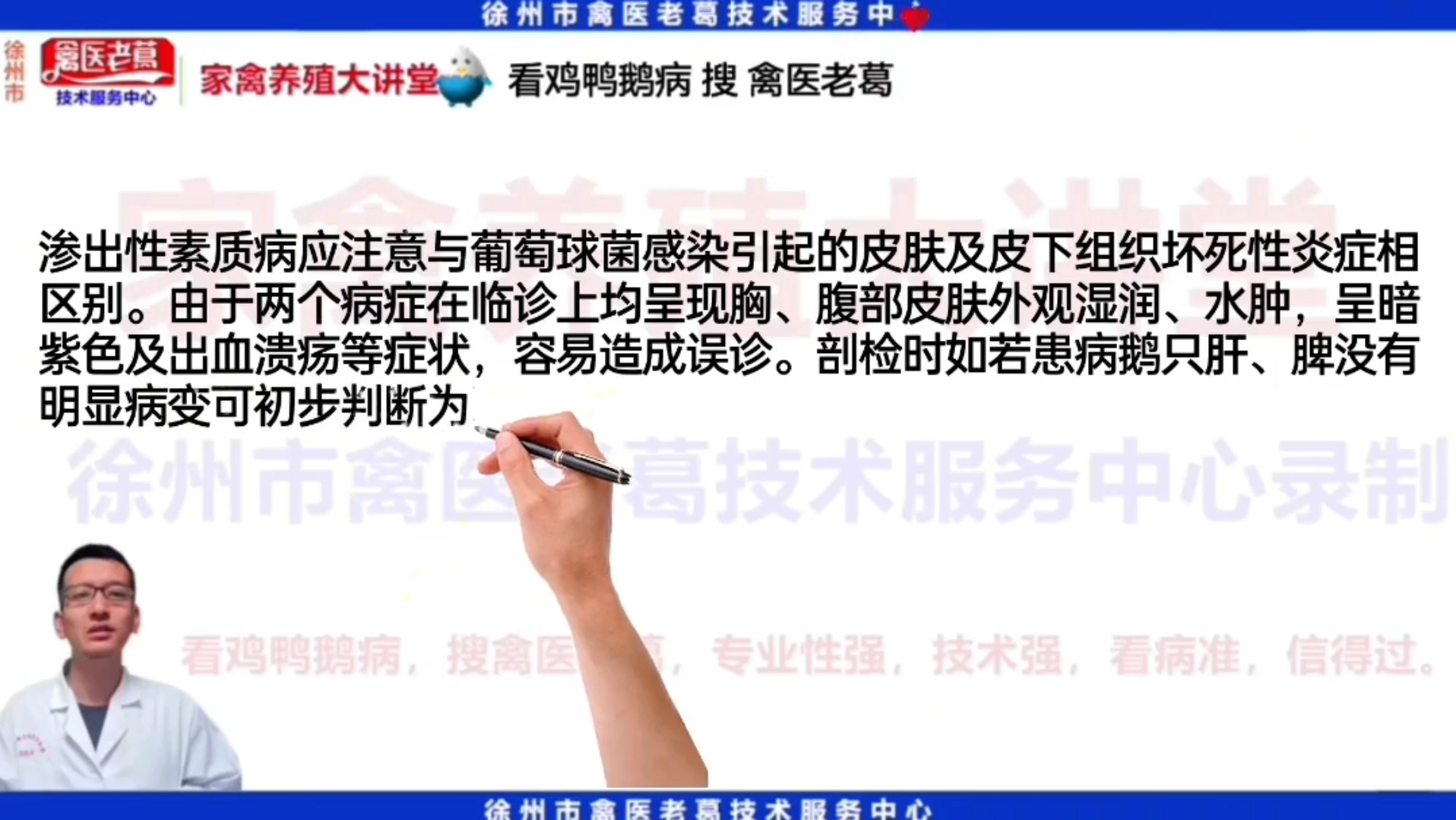 鹅维生素E缺乏症详解大全【家禽养殖大讲堂】