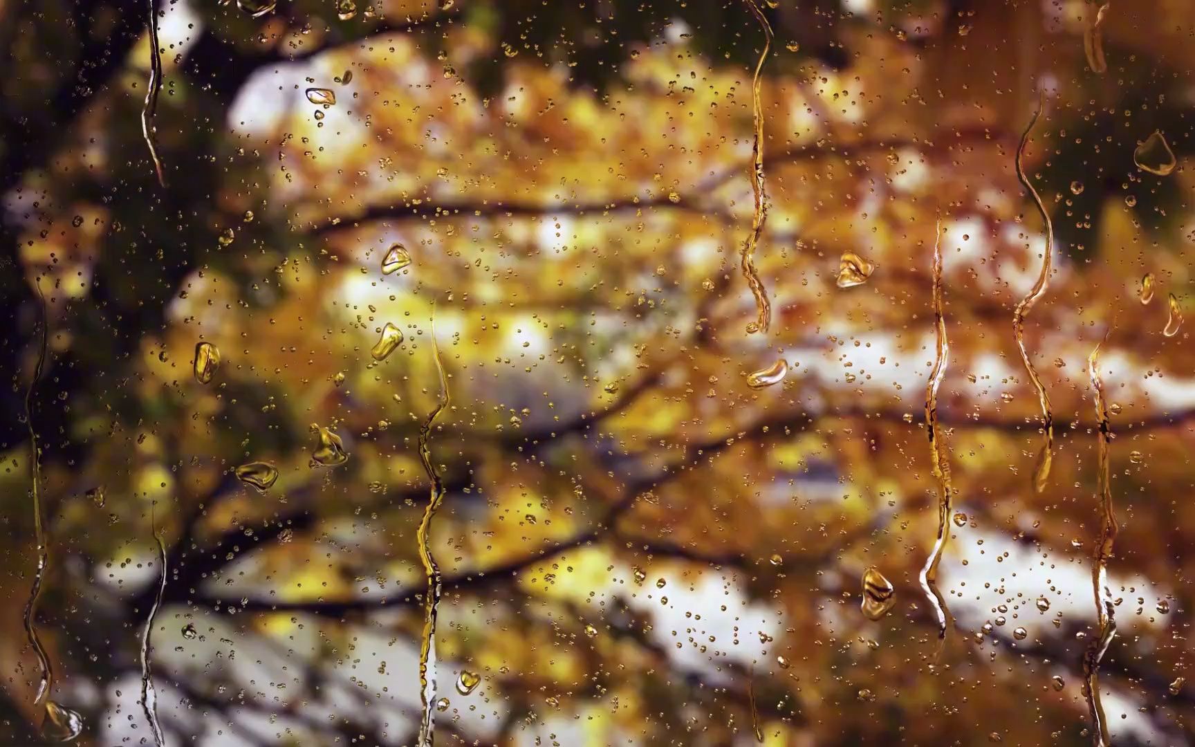 下雨的声音,睡觉的声音,大雨和雷电声,助眠