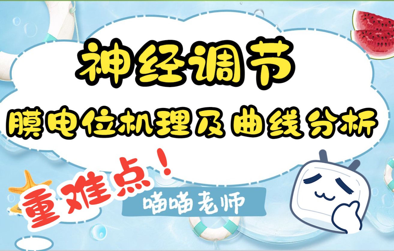 【高中生物选必1】神经调节 膜电位机理及曲线分析 |题型总结