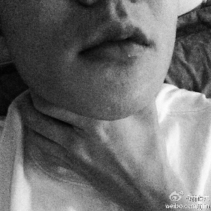 吃老番茄的的喵酱 