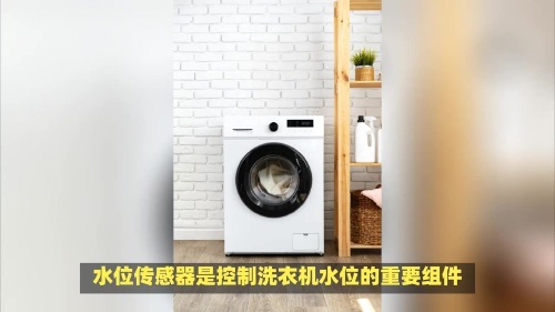 自动洗衣机不脱水怎么解决