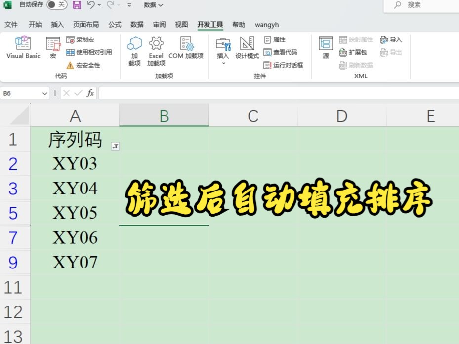 Excel筛选后自动填充排序,VBA代码,小插件