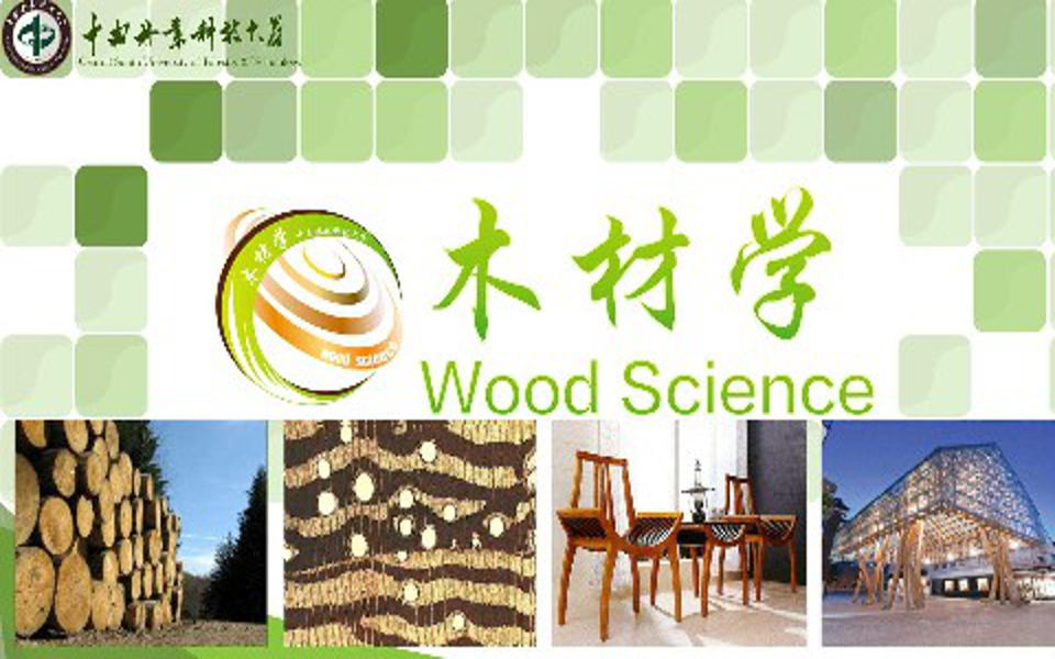 木材学 - 中南林业科技大学(国家精品课)