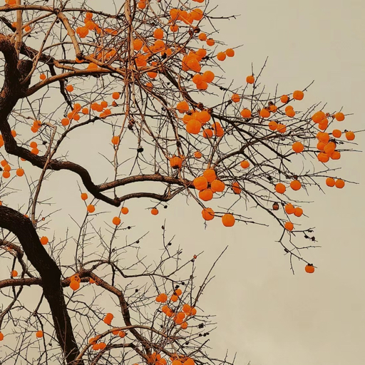 林黛玉单刀夜奔狮驼岭 