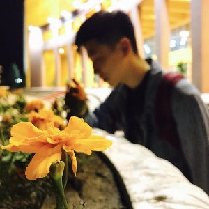 勋勋吃不饱-专升本 