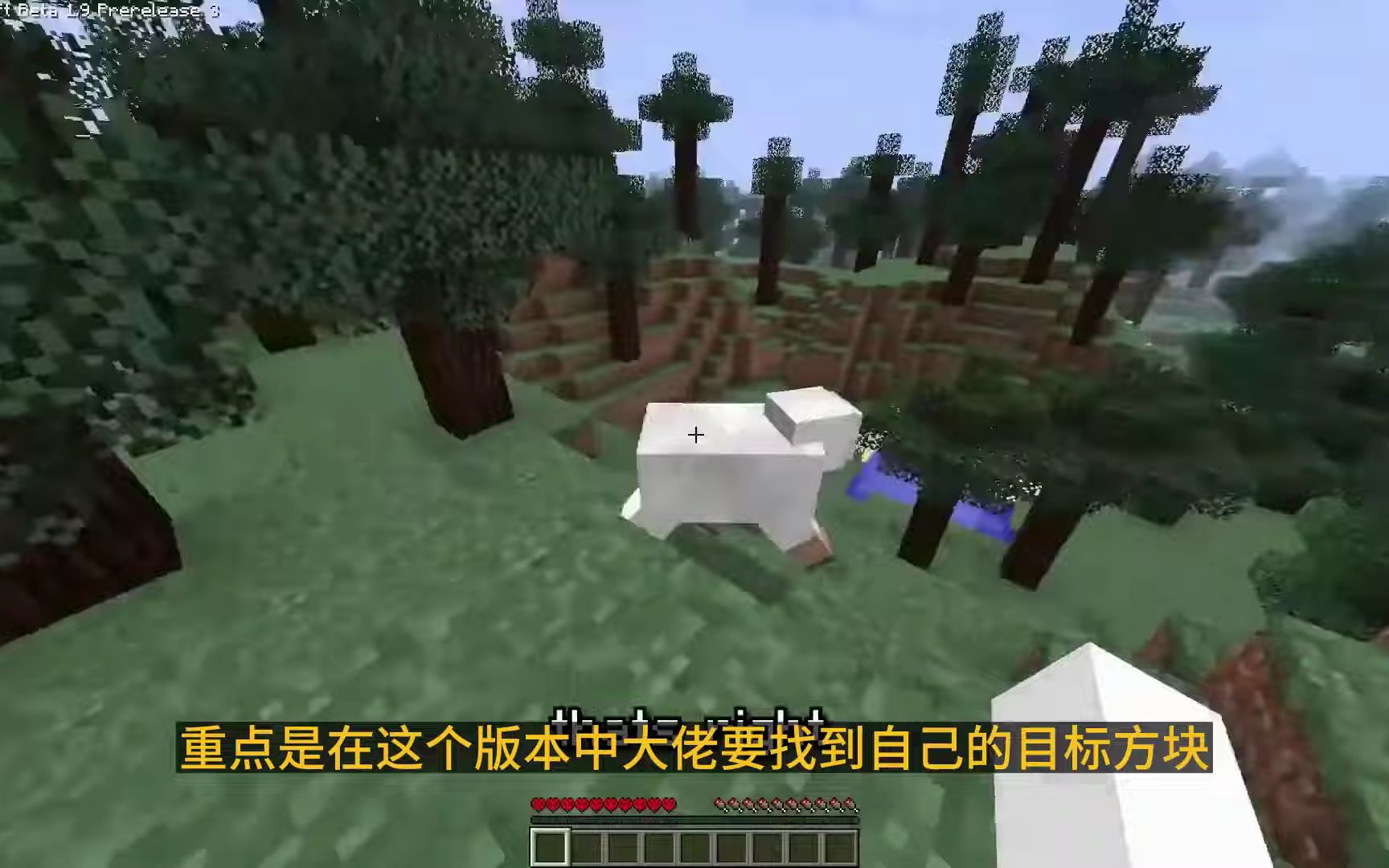 我的世界:肝帝挑战收集MC所有版本中最稀有的物品,一起来看看你见过...