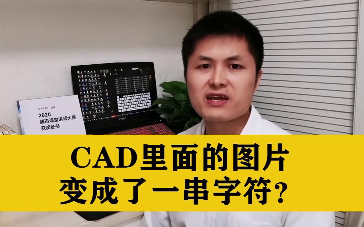 把图片插入CAD之后,再次打开CAD图纸,图片却显示成了一串字符?