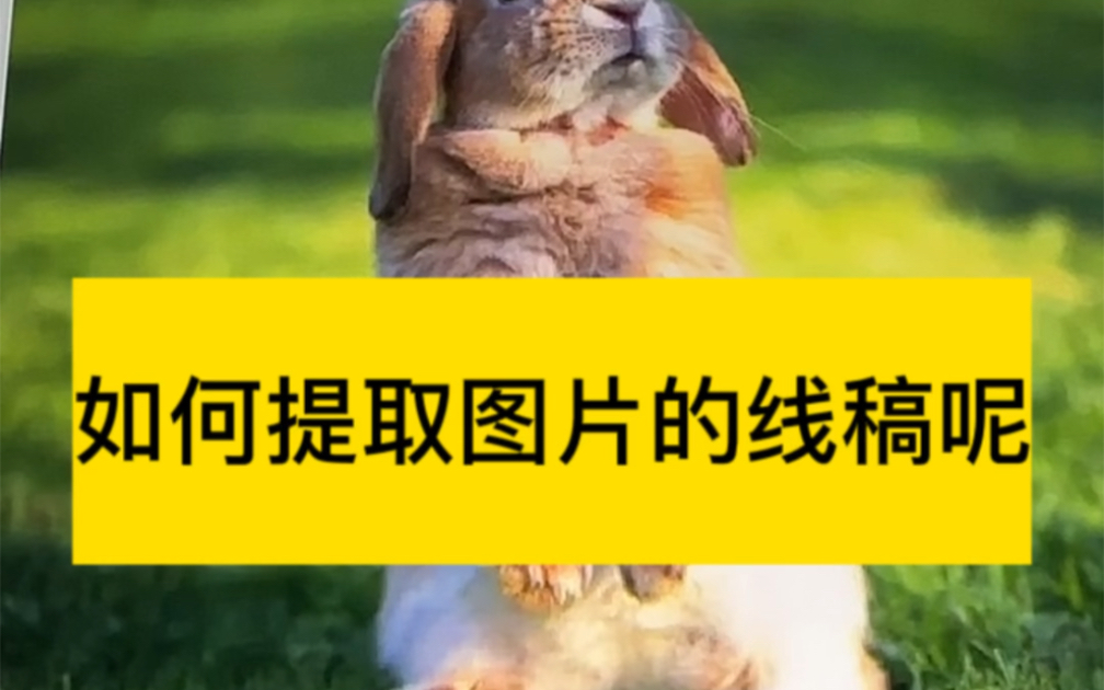 如何提取图片的线稿?