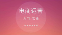 孙老师讲电商 电子商务运营理论与实操(上)