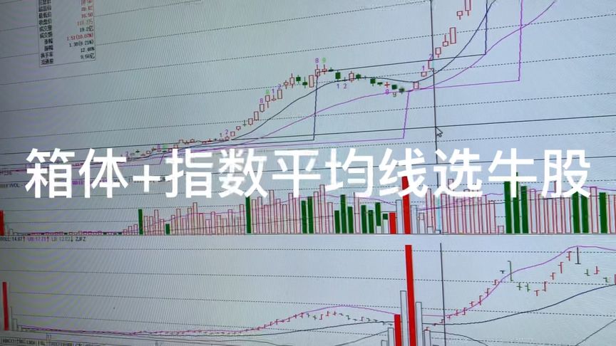 免费指标-箱体1