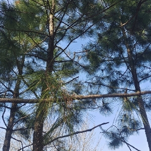 生活不过如此呀 