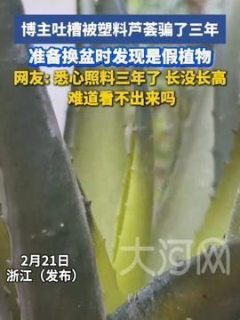 博主吐槽被塑料芦荟骗了三年,准备换盆时发现是假植物。网友: 悉心照料三年了 长没长高,难道看不出来吗?